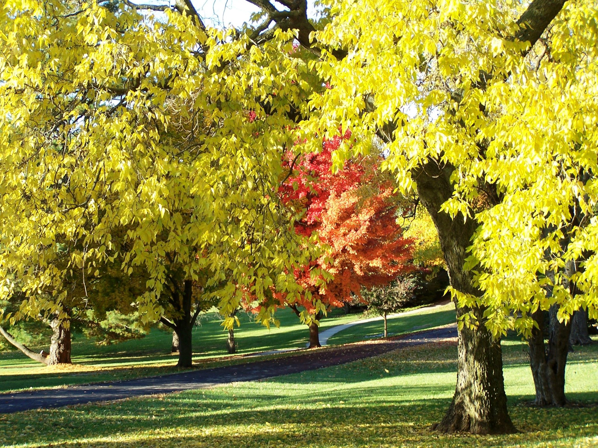 Marillac Retreat & Spirituality Center | Leavenworth, KS